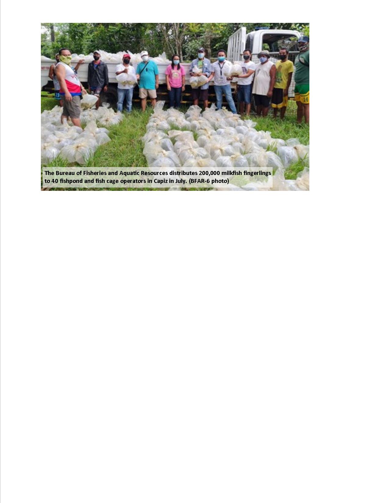 » Iloilo, Capiz beneficiaries 400K bangus fingerlings