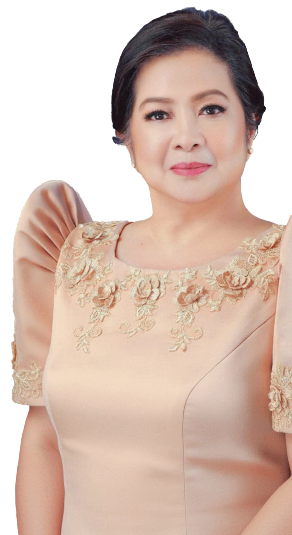 » Congw. Castro urges DPWH to replace A.D. Pendon as contractor